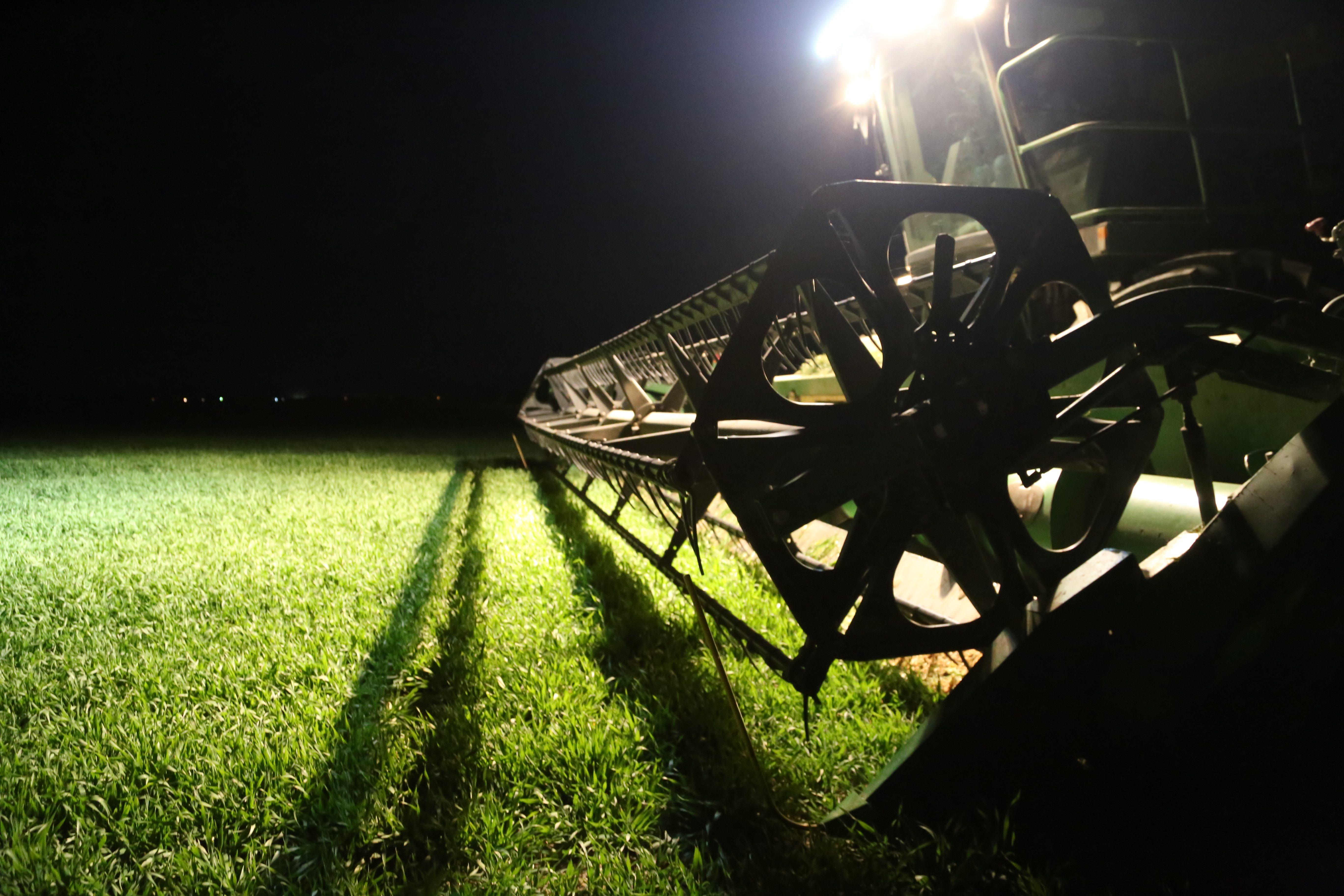 You’ll Never Guess Why We Harvest Our Barley at Night – The AIM Companies