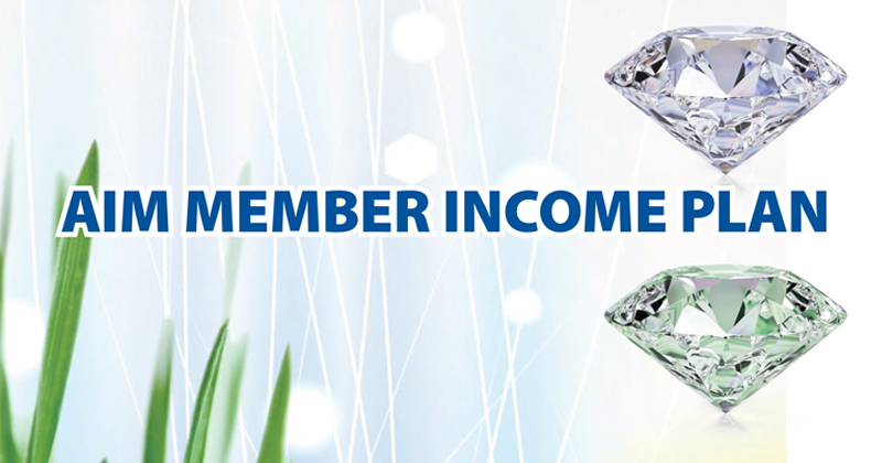 Yes, You Can Make Money with The AIM Companies – The AIM Companies