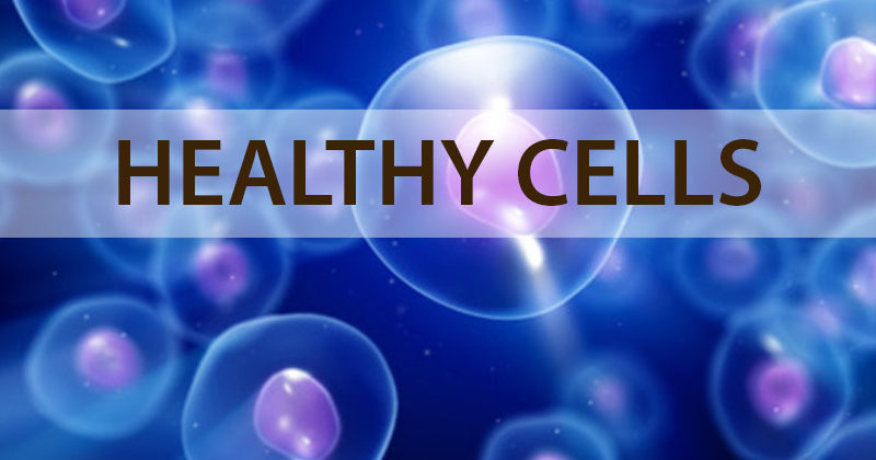 Healthy Cells – The AIM Companies