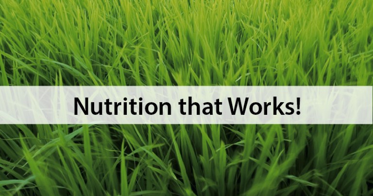 Nutrition that Works! – The AIM Companies