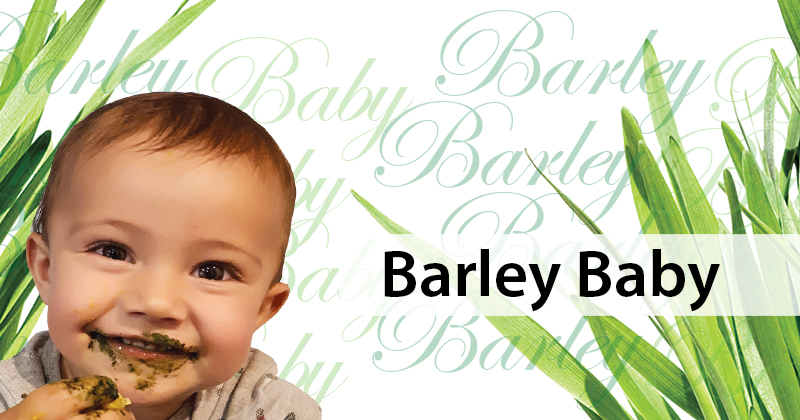 Barley Baby – The AIM Companies