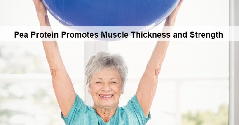 Pea Protein Promotes Muscle Thickness and Strength – The AIM Companies