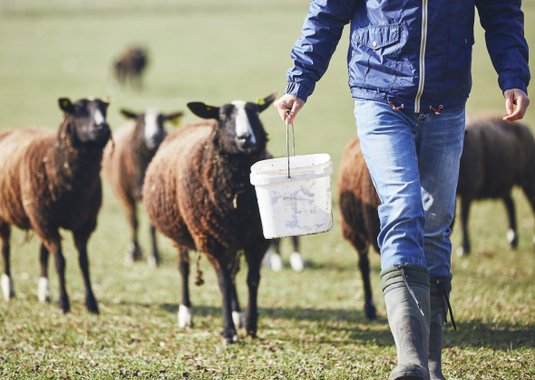 Moving Past My Hip Replacement – The AIM Companies