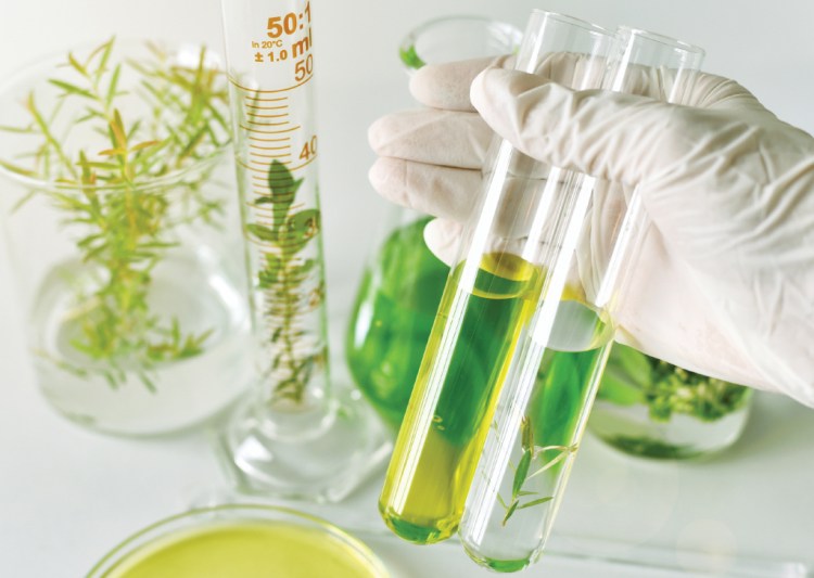 The AIM Commitment to High-Quality Ingredients – The AIM Companies