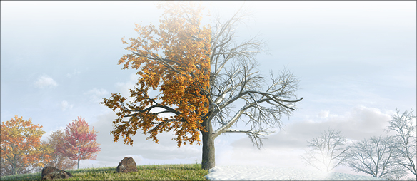 Fall Through Winter Wellness – The AIM Companies