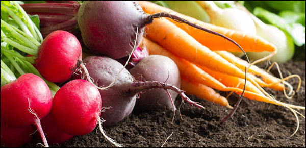 Positive Changes for Just Carrots and RediBeets – The AIM Companies