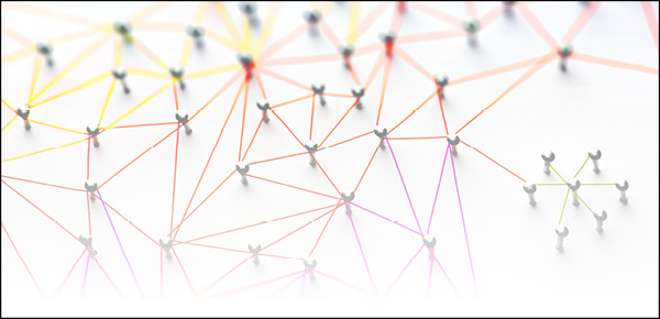 The Business of Network Marketing – The AIM Companies