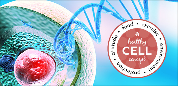 Creating Healthy Cells – The AIM Companies