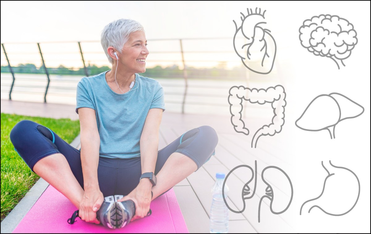 Why AIM: The Focus on Body Systems – The AIM Companies