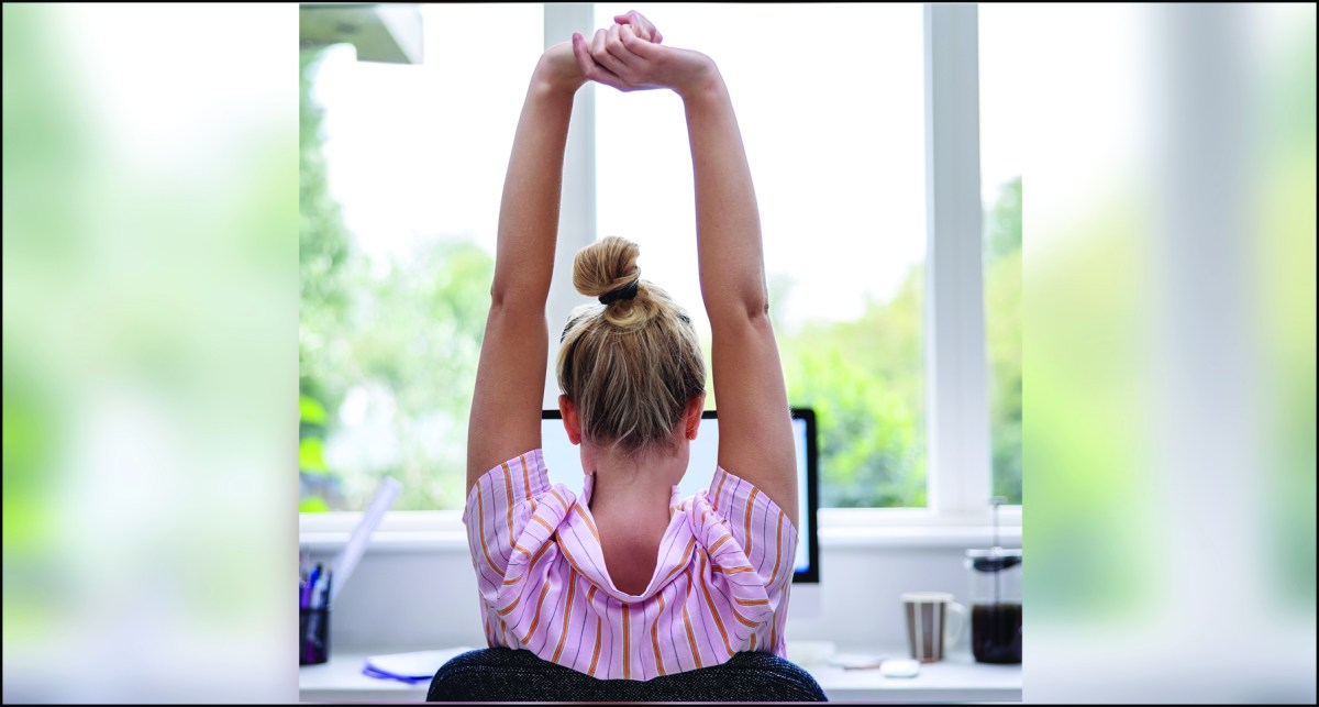 The Sitting Game – The AIM Companies